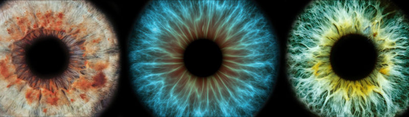 Research | The Royal College of Ophthalmologists